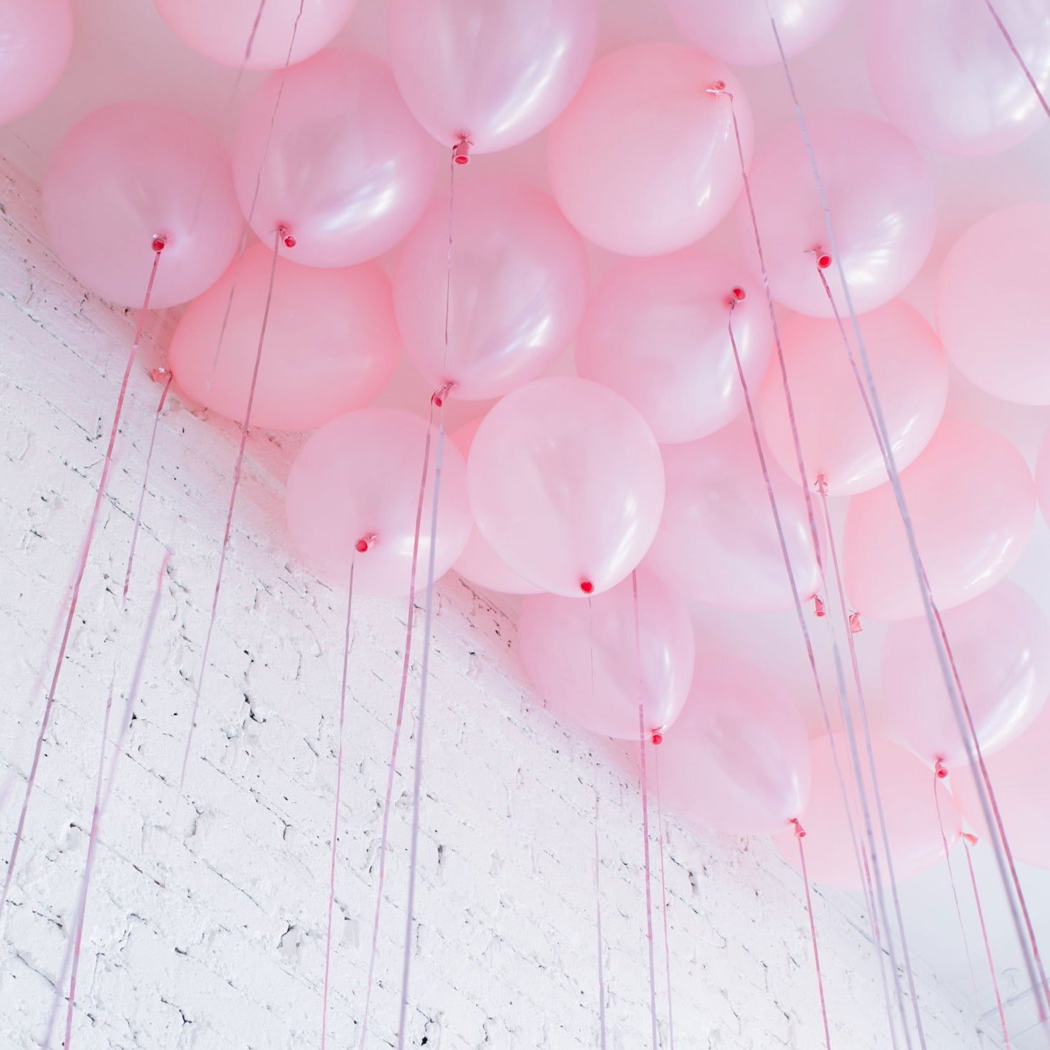 Light Pink Ceiling Balloons – Balloon Market